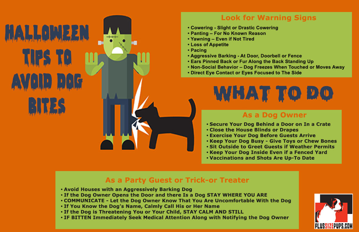 Halloween Tips to Avoid Dog Bites – Plus Size Pups