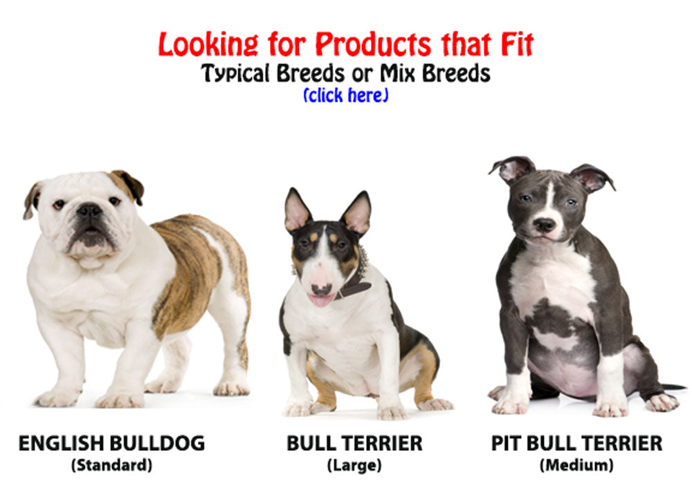 Fits 31 to 55 Pound Dog (BEEFY) – Plus Size Pups